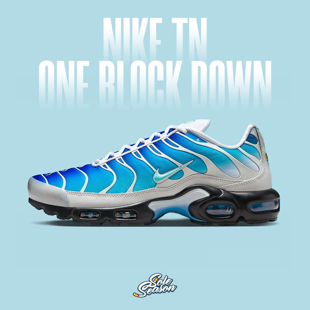 Nike Air Max Plus Tn x One Block Down Collab. Blue & Orange!