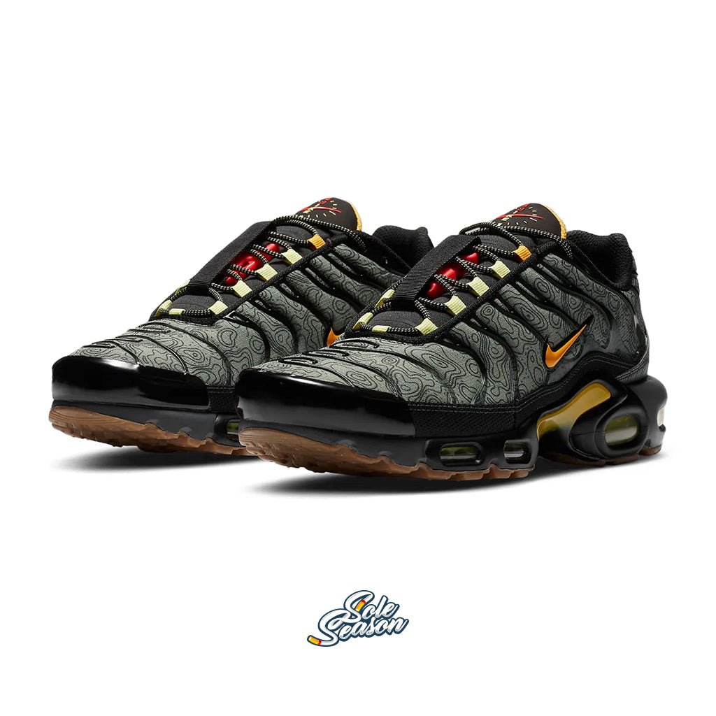 Nike Tn - Fresh Perspective - Special Release dc7392-300