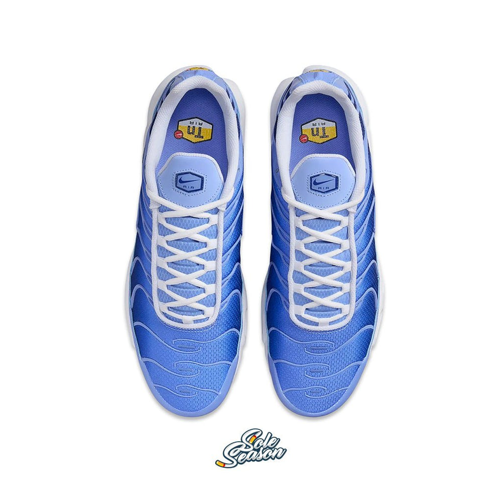 Blue Nike Tn - Royal Pulse Air Max Plus - Blue / White Tns