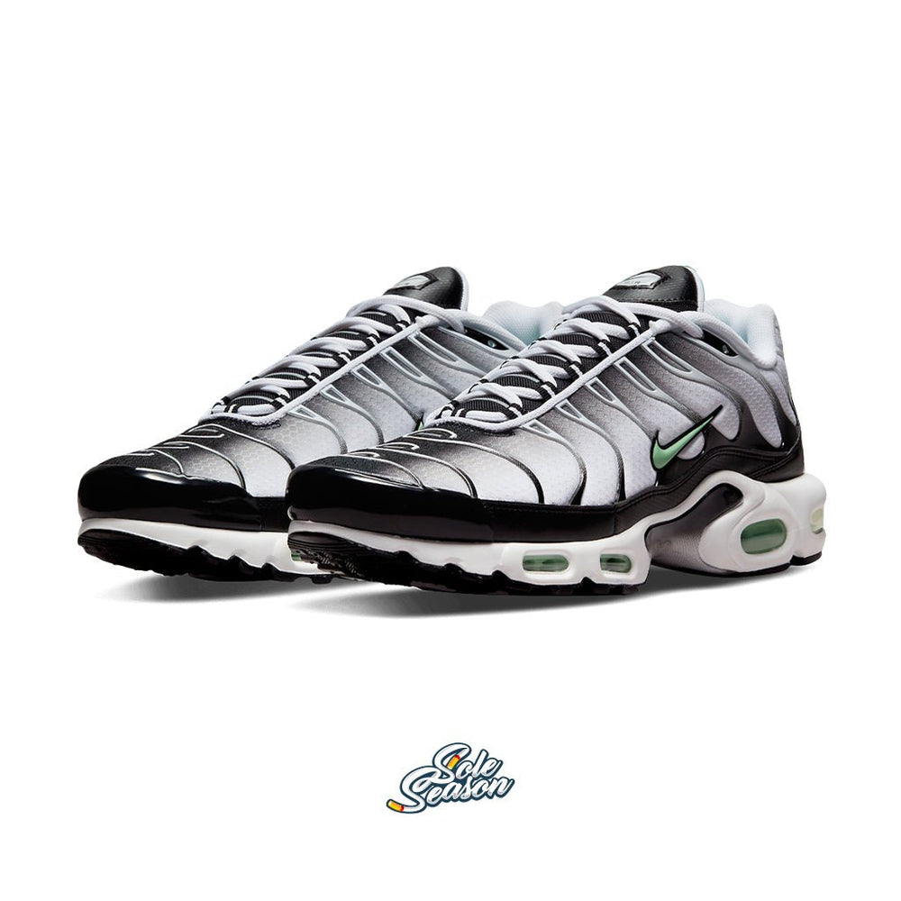 Mint Nike Tns - Fresh Mint Air Max Plus - Mint Air Max