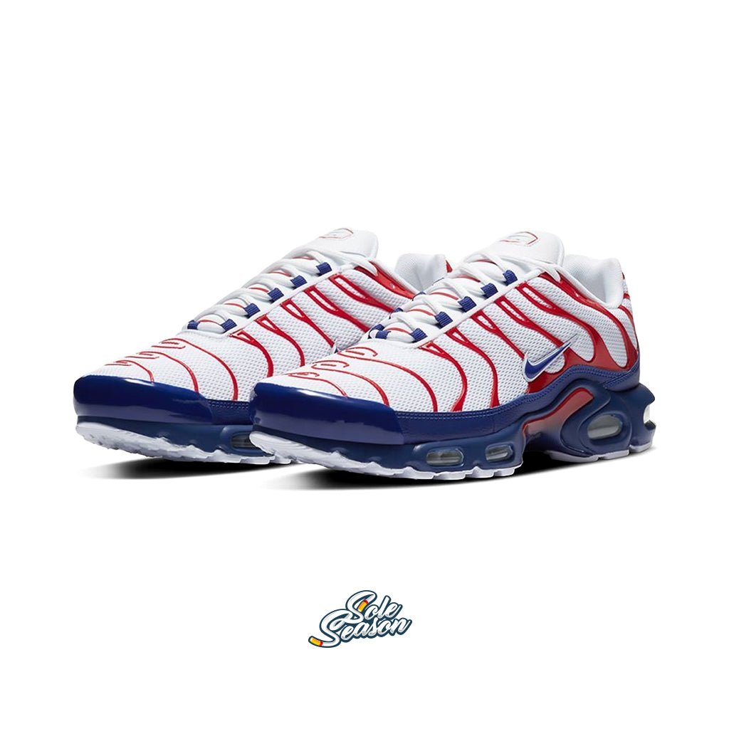 USA White Nike Tn - Men's Nike Tns - Soleseason